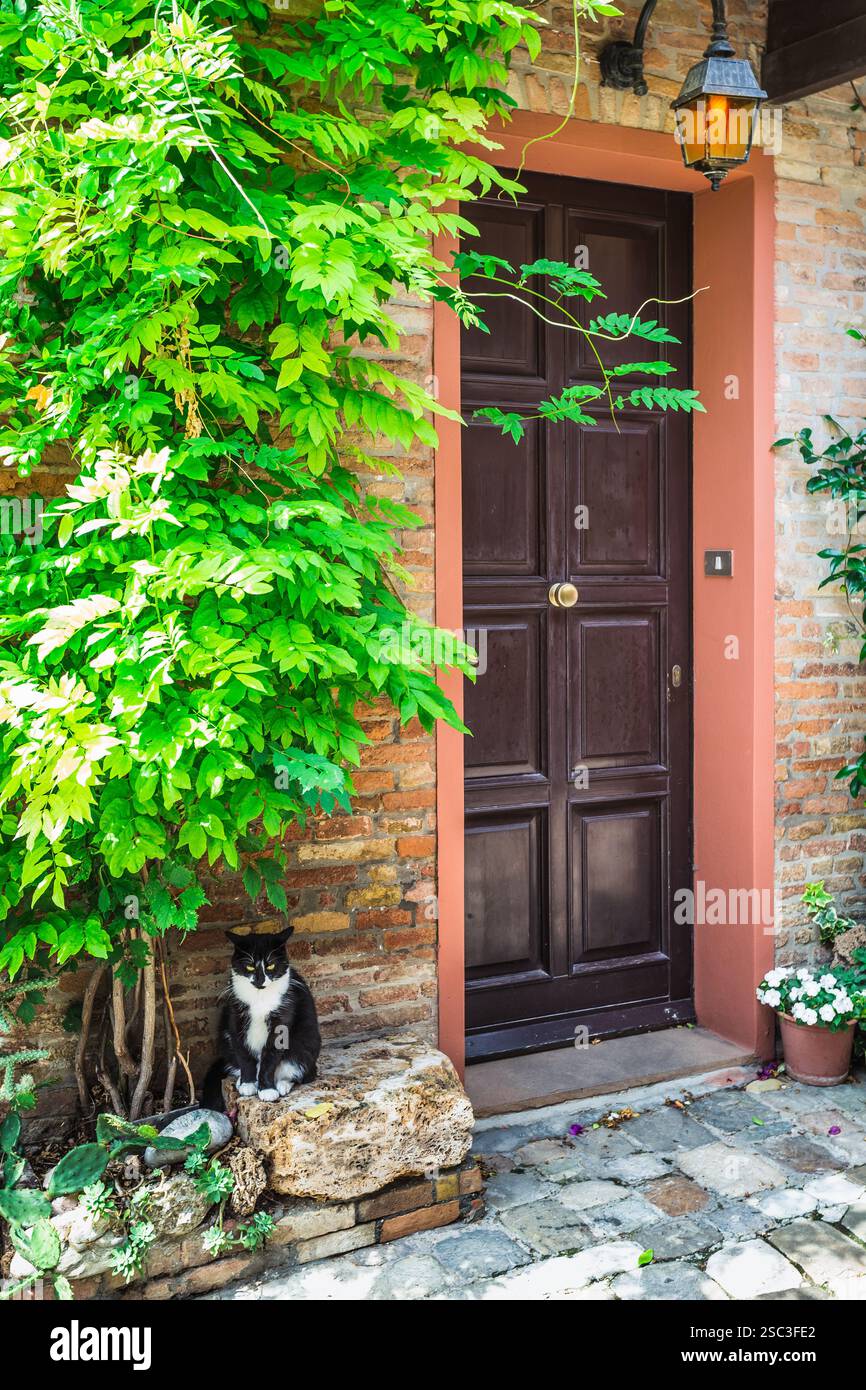 Entrance to the old Italian house and the cat on the doorstep Stock ...