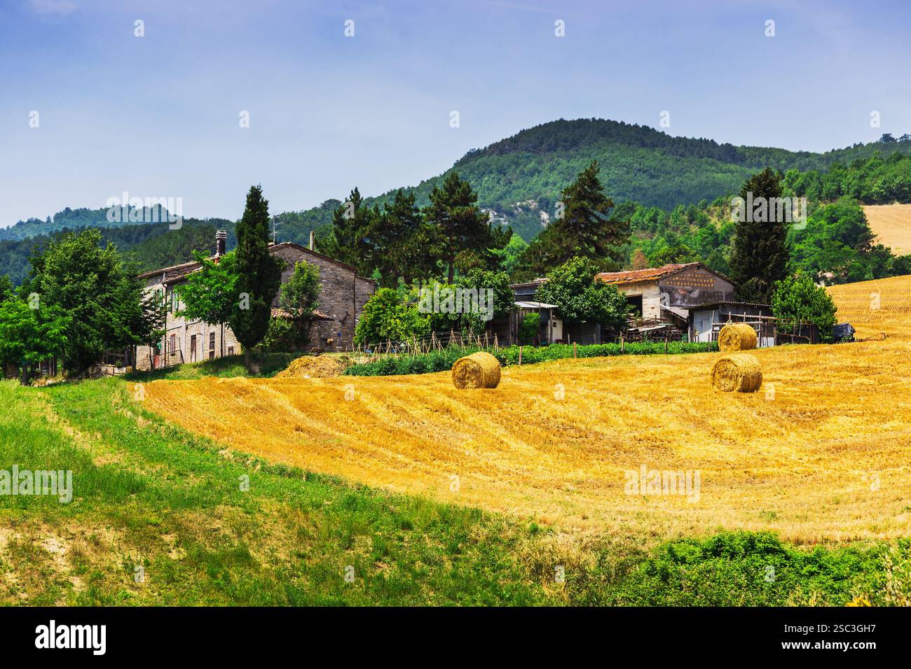 rural landscape with houses standing alone in the province of Tuscany ...