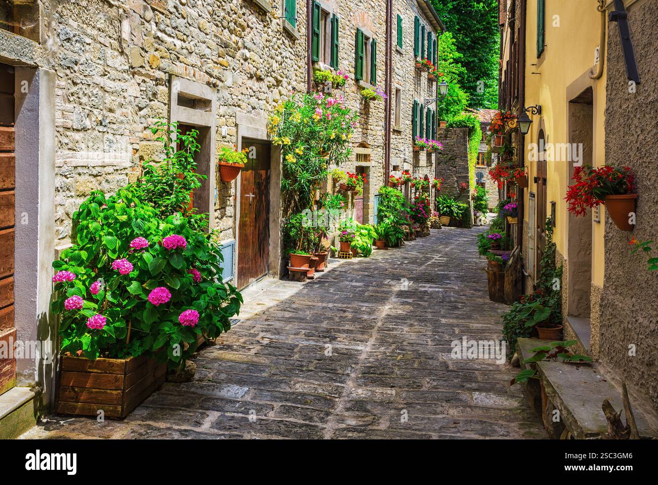 typical Italian street in a small provincial town of Tuscan, Italy ...