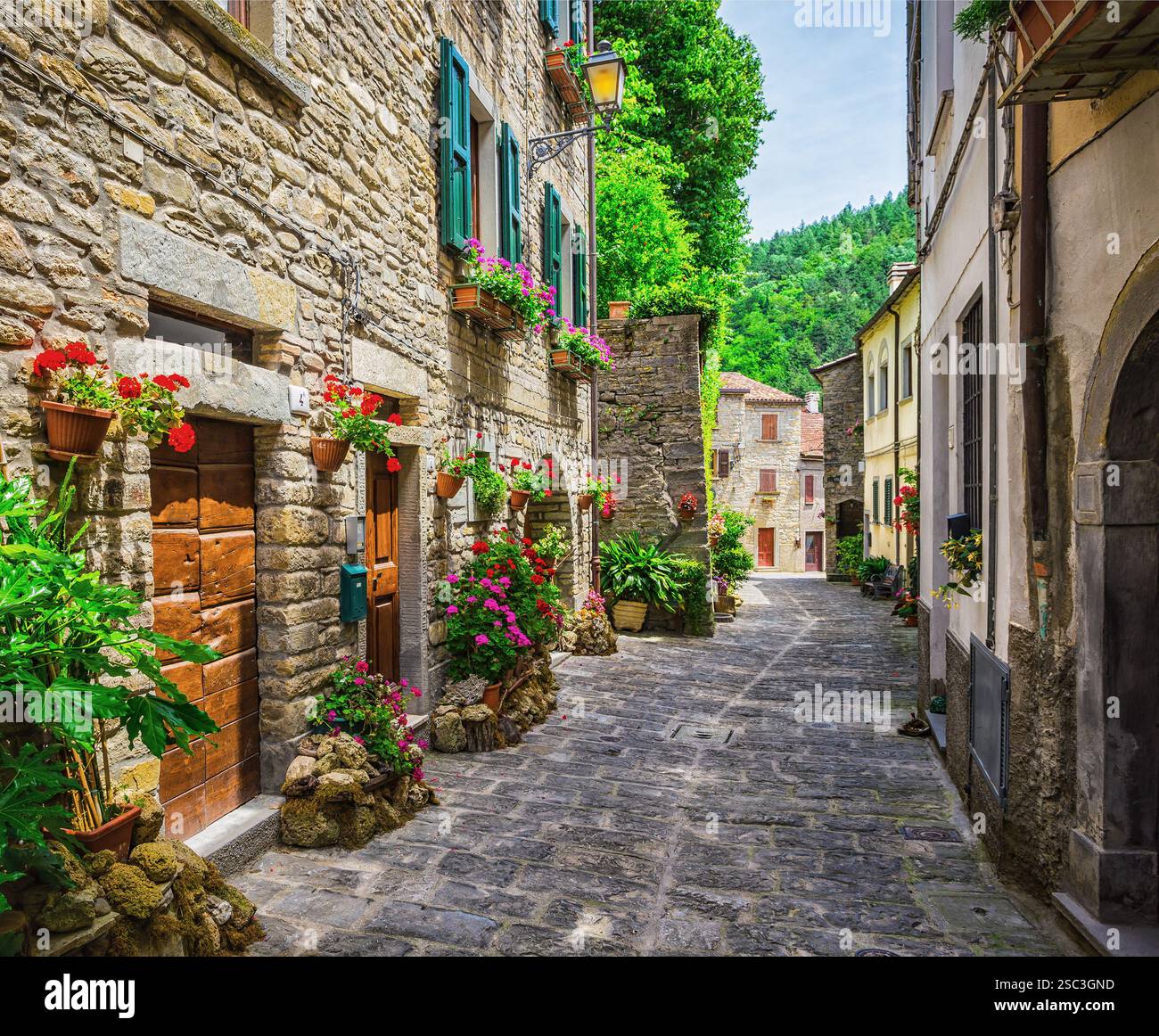 typical Italian street in a small provincial town of Tuscan, Italy ...