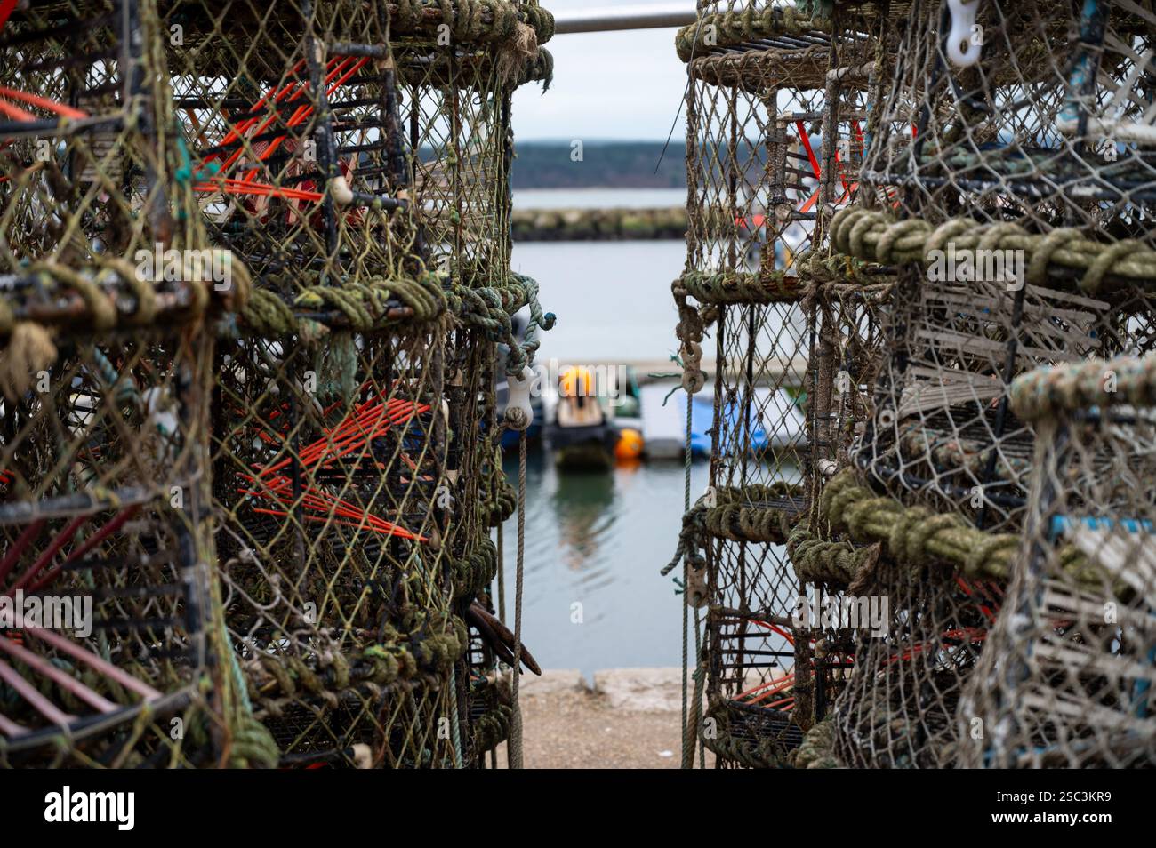 fishing lobster baskets crab nets poole harbour close up Stock Photo ...