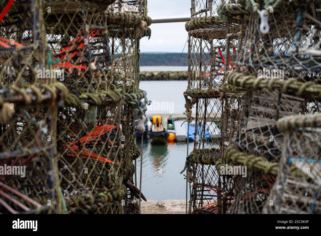 fishing lobster baskets crab nets poole harbour close up Stock Photo ...