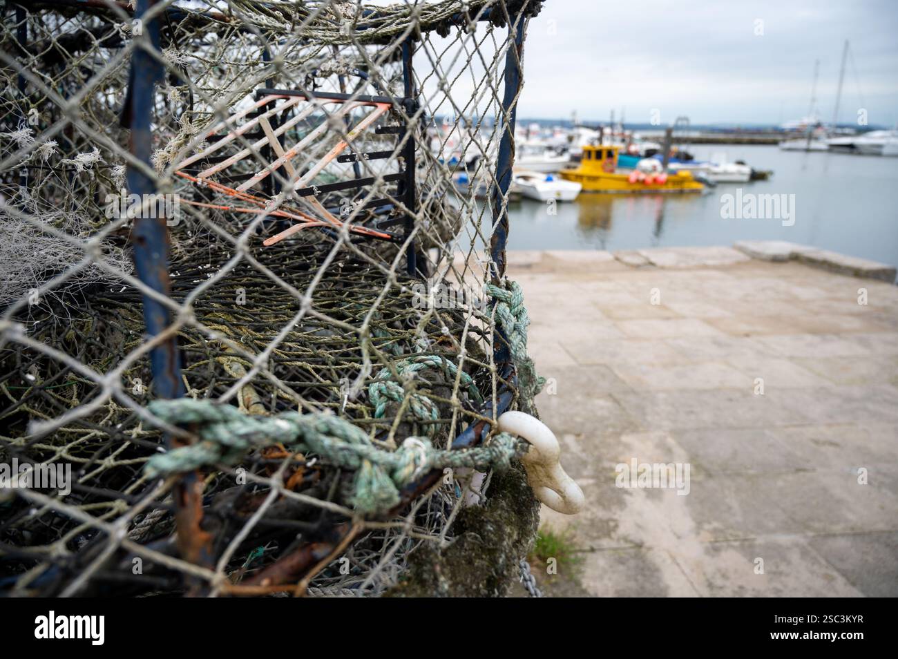 fishing lobster baskets crab nets poole harbour close up Stock Photo ...