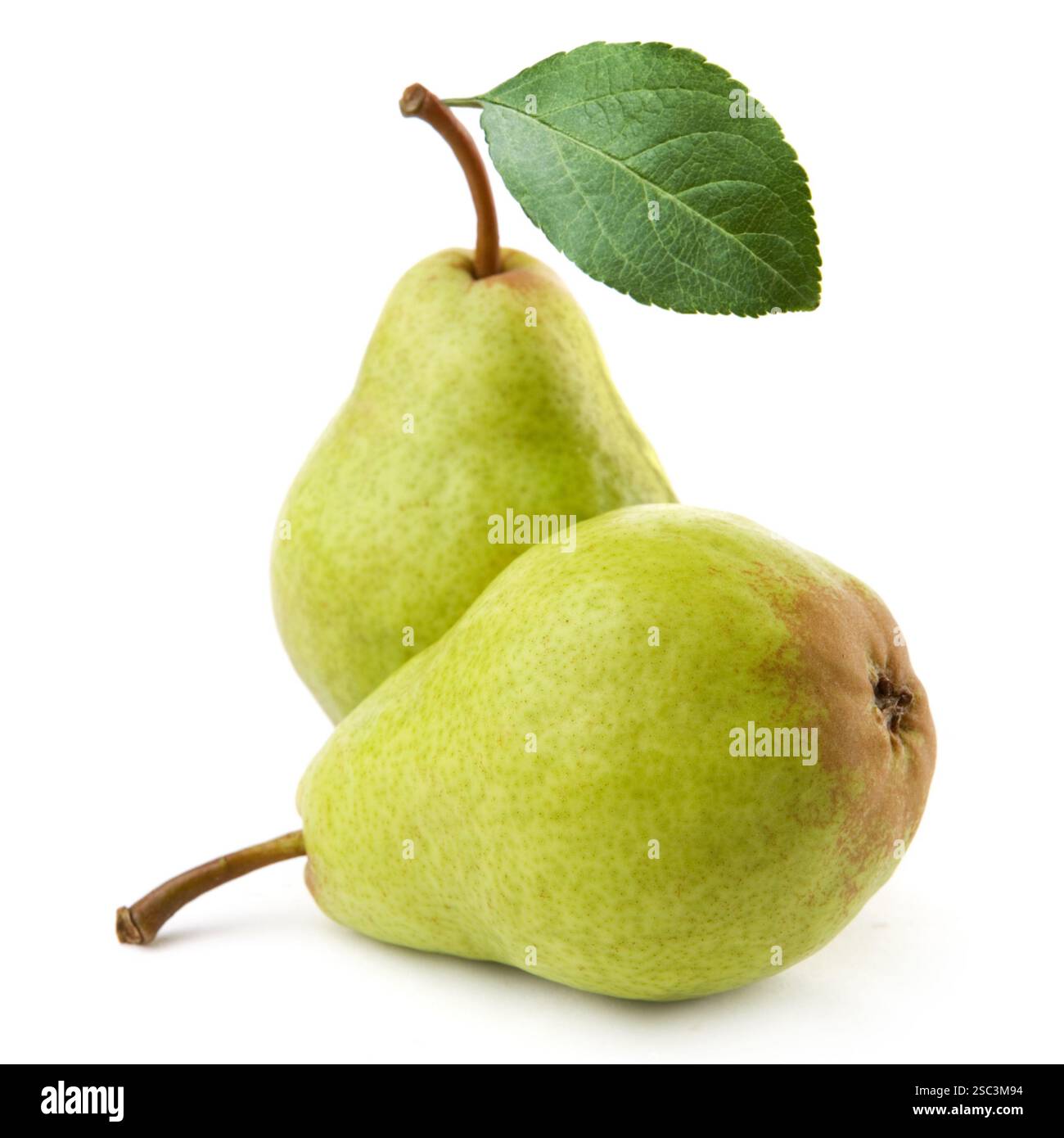 two ripe pears isolated on white background Stock Photo - Alamy