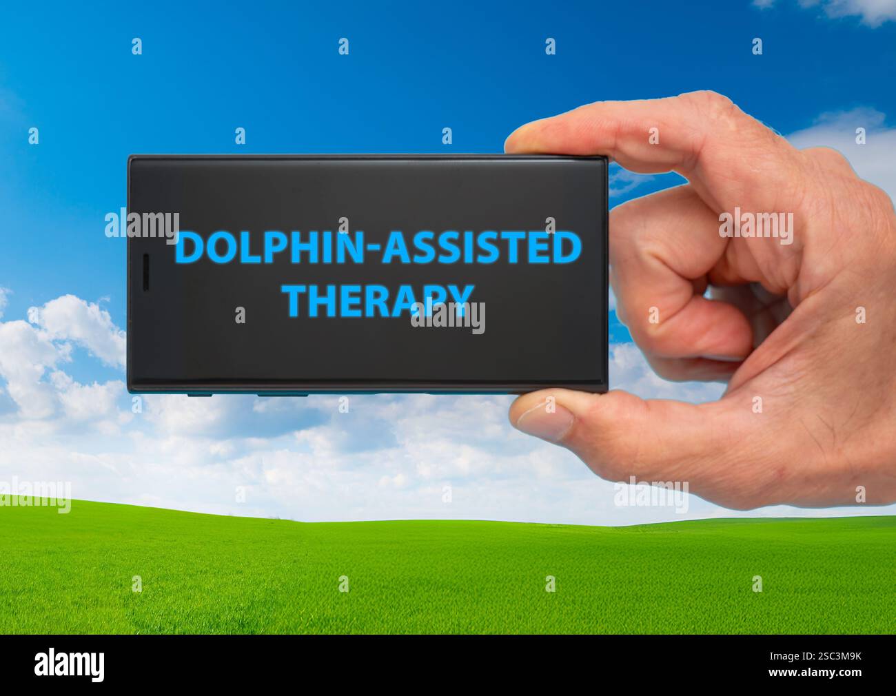 Dolphin-Assisted Therapy Using interactions with dolphins for ...