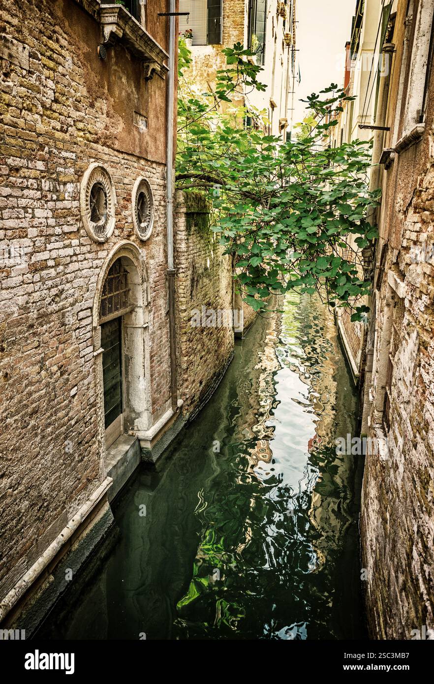 Narrow canal among old colorful brick houses in Venice, Italy Stock ...