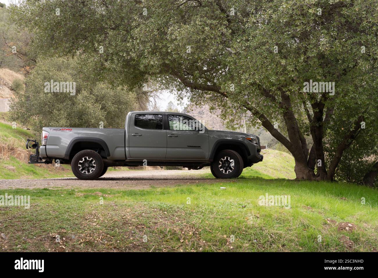 Gray Toyota Tacoma truck parked under a large tree in a grassy area ...