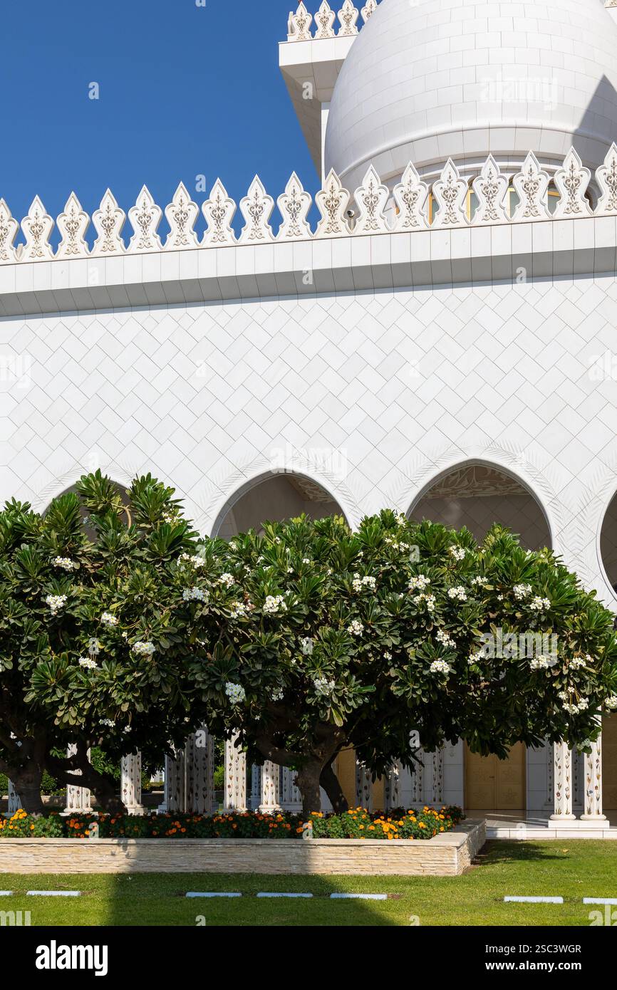 View of Sheikh Zayed Grand Mosque in Abu Dhabi with blooming green ...