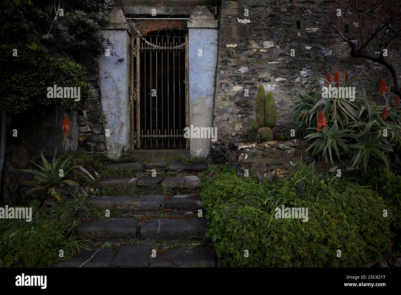 Entrance gate and a staircase in a stone wall with plants next to it on ...