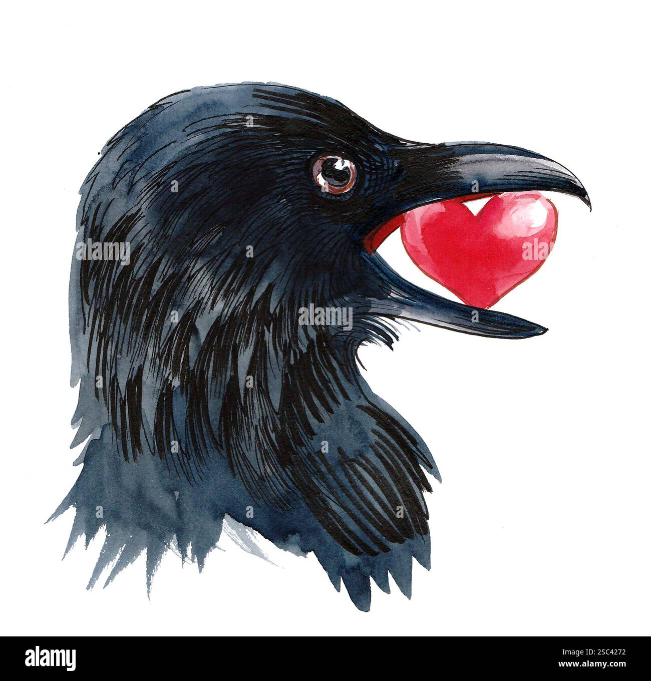 Crow with stolen heart. Hand drawn watercolour illustration Stock Photo ...