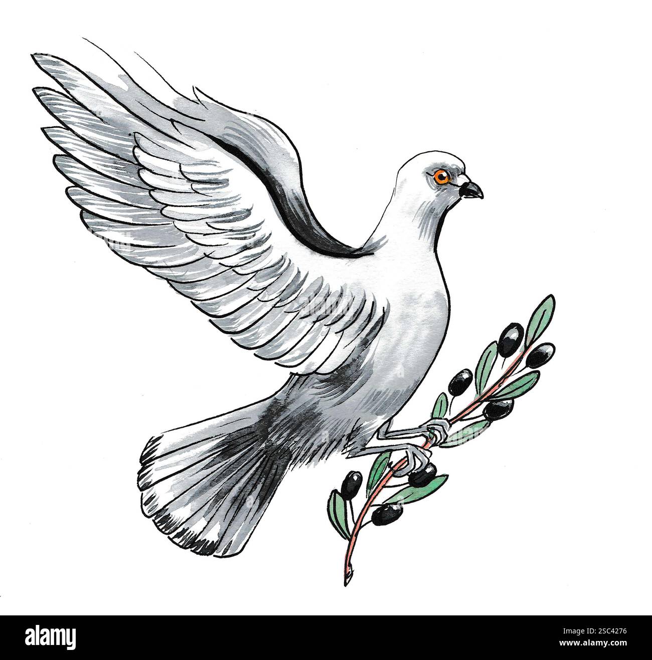 Flying white dove. Hand drawn watercolour illustration Stock Photo - Alamy