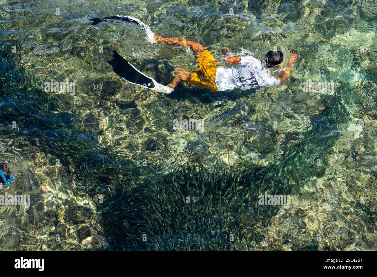 A man is swimming with the school of sardines at Napaling Reef in ...