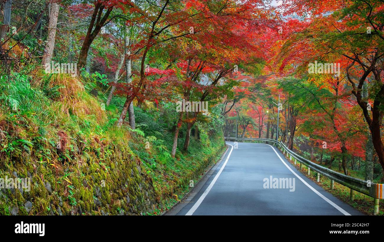 Kibune (Kifune) Suburban Road with Colorful Autumn Scenario in Kyoto ...