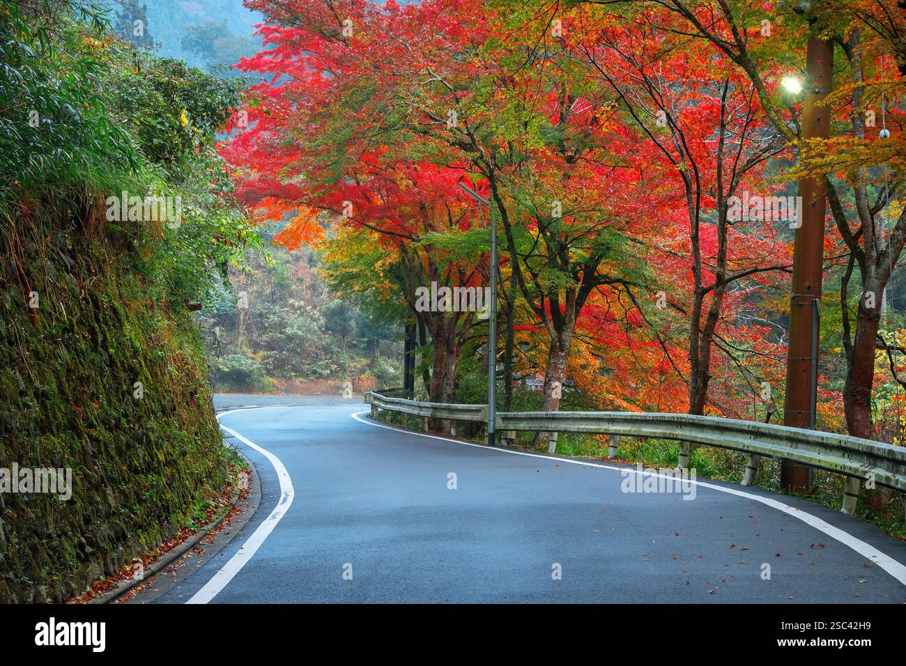 Kibune (Kifune) Suburban Road with Colorful Autumn Scenario in Kyoto ...