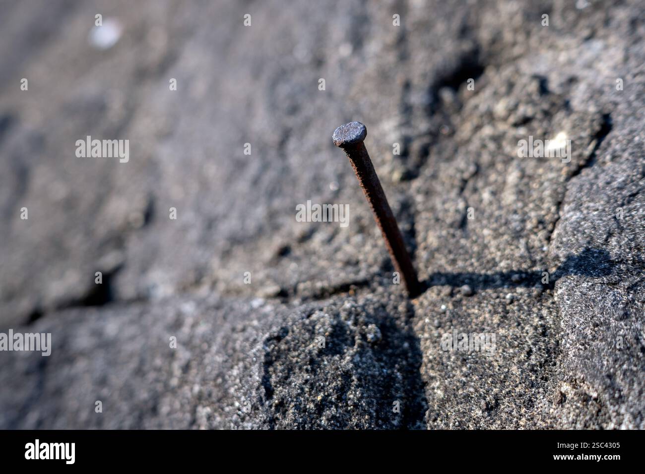 Rusty nail stuck in concrete Stock Photo - Alamy
