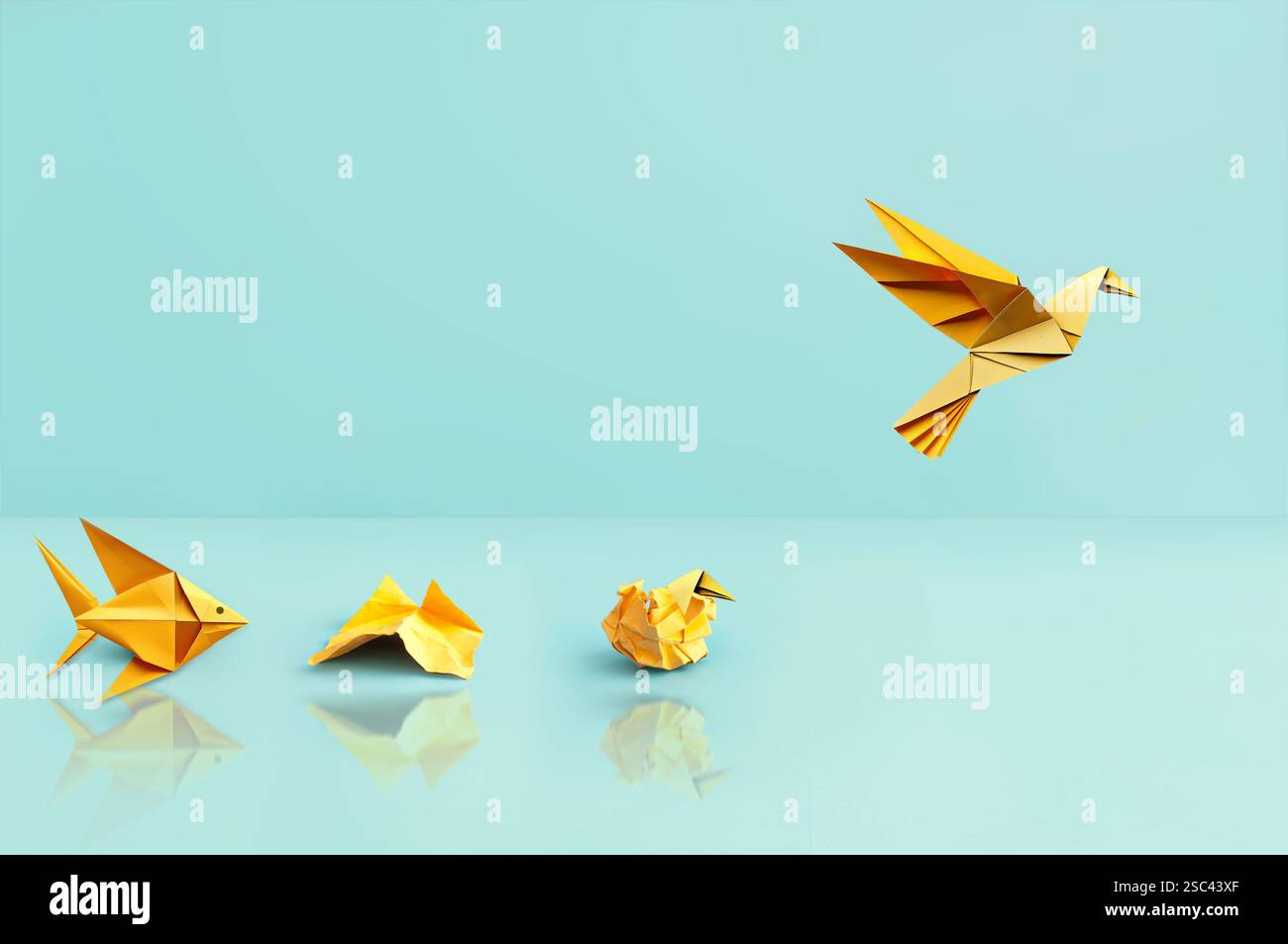 Different stages of a fish to a bird flying off, success concept Stock ...