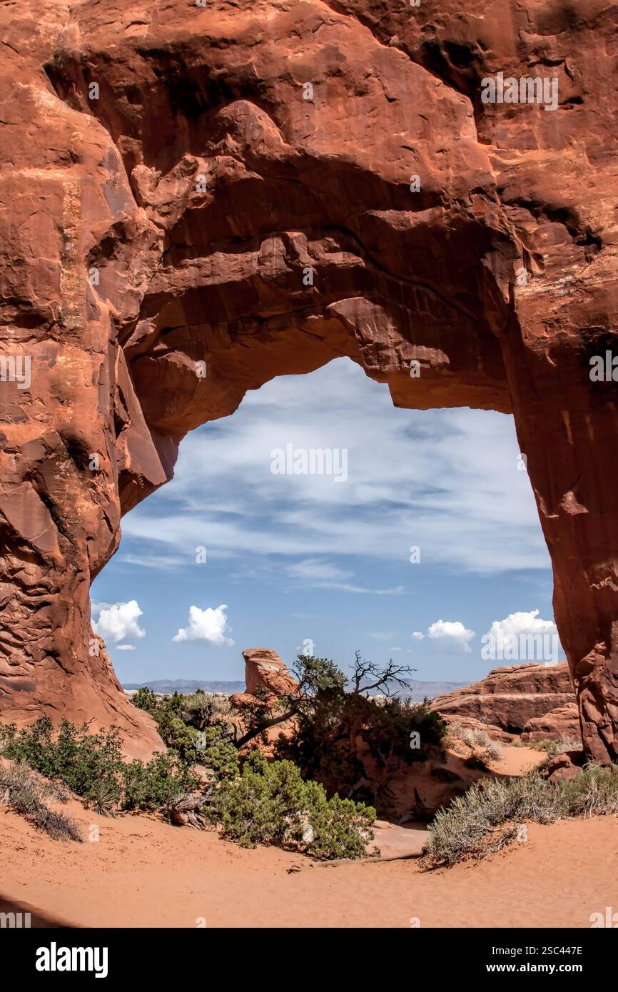 A large rock archway with a small tree growing out of it. The archway ...