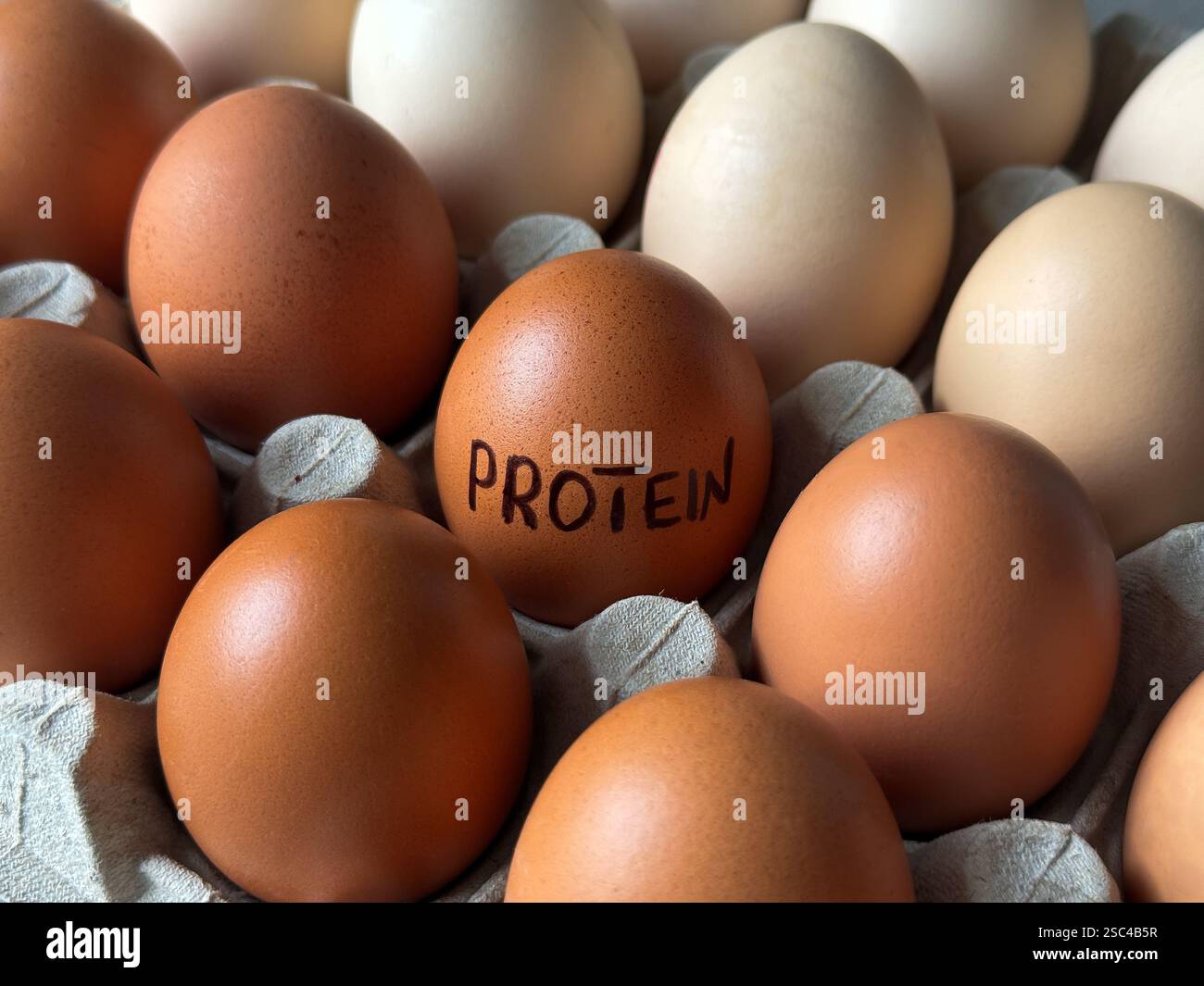 White and brown eggs in paper carton with a word protein written on one ...
