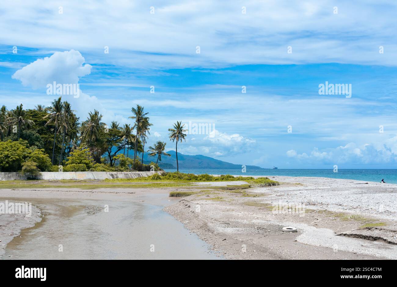 Tropical island with coconut palm trees on sandy beach in Dili, Timor ...
