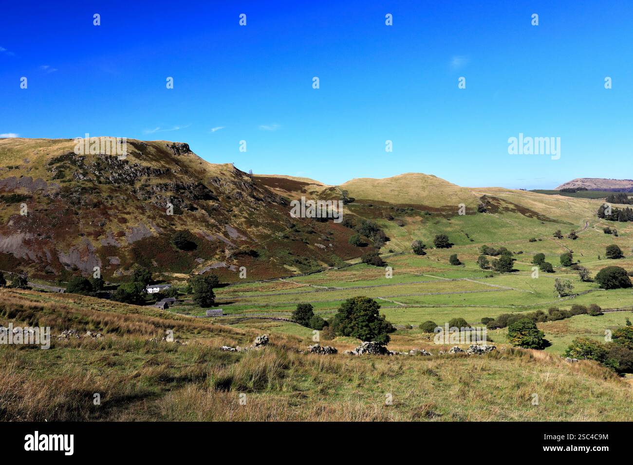 Summer view over Dowthwaitehead hamlet and farms in the upper valley of ...