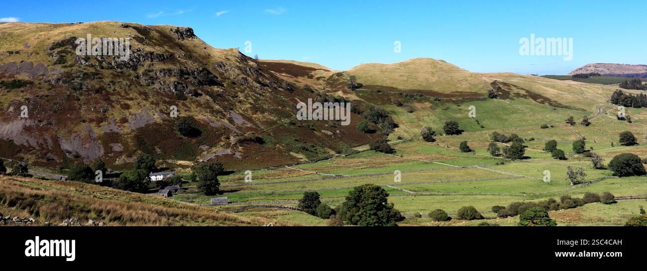 Summer view over Dowthwaitehead hamlet and farms in the upper valley of ...