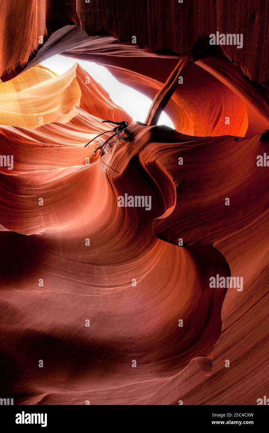 A rock formation with a bug on it, the bug is in the middle of the rock ...