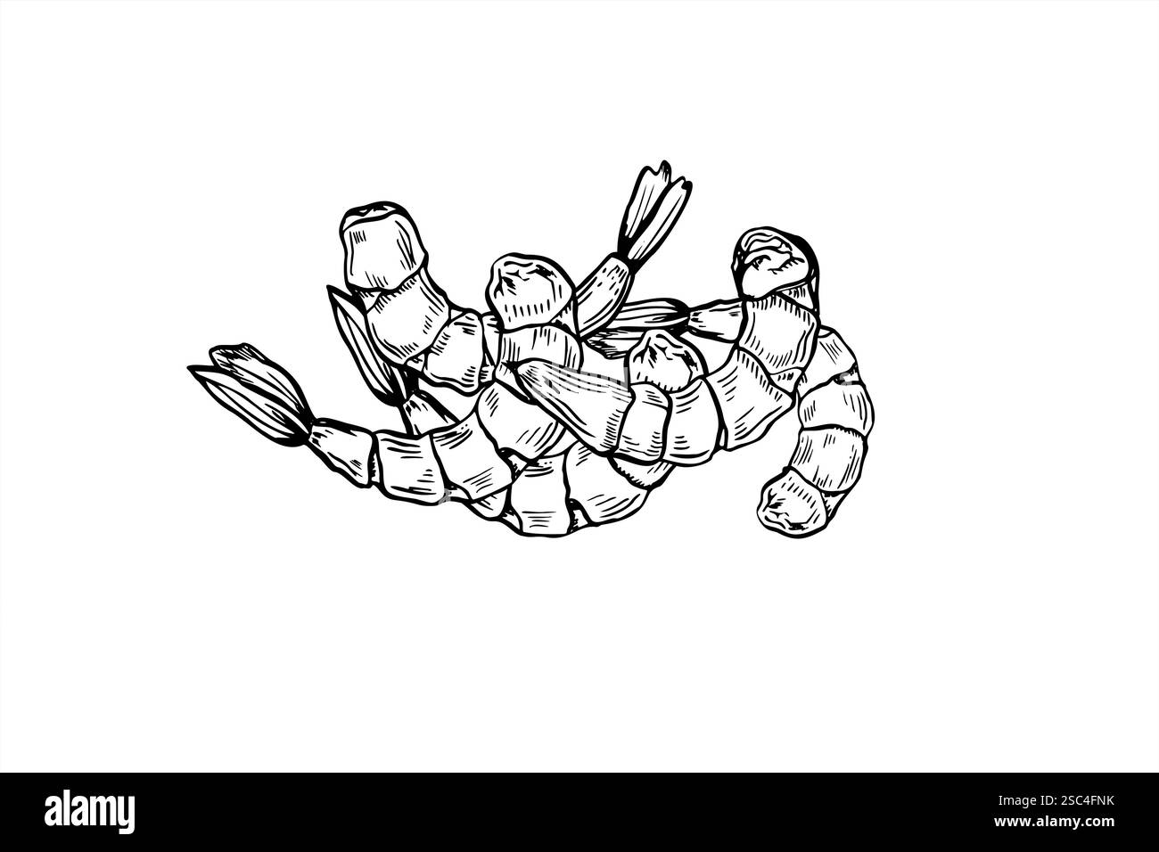 Peeled boiled prawn heap vector food illustration painted by black inks ...
