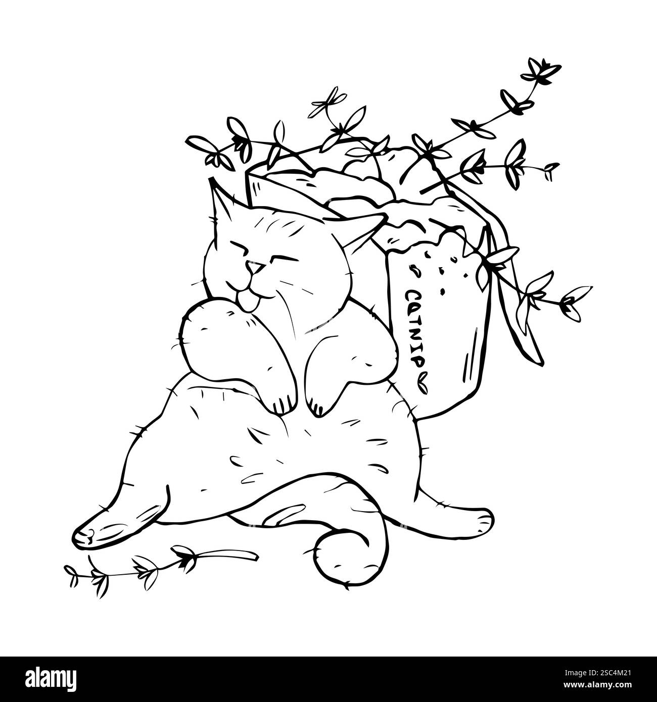 Hand drawn cat with backpack full of catnip. Cute cartoon fluffy kitten ...