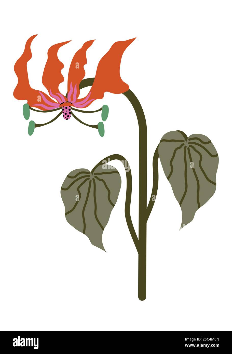 Vintage exotic botanical prints Cut Out Stock Images & Pictures - Alamy