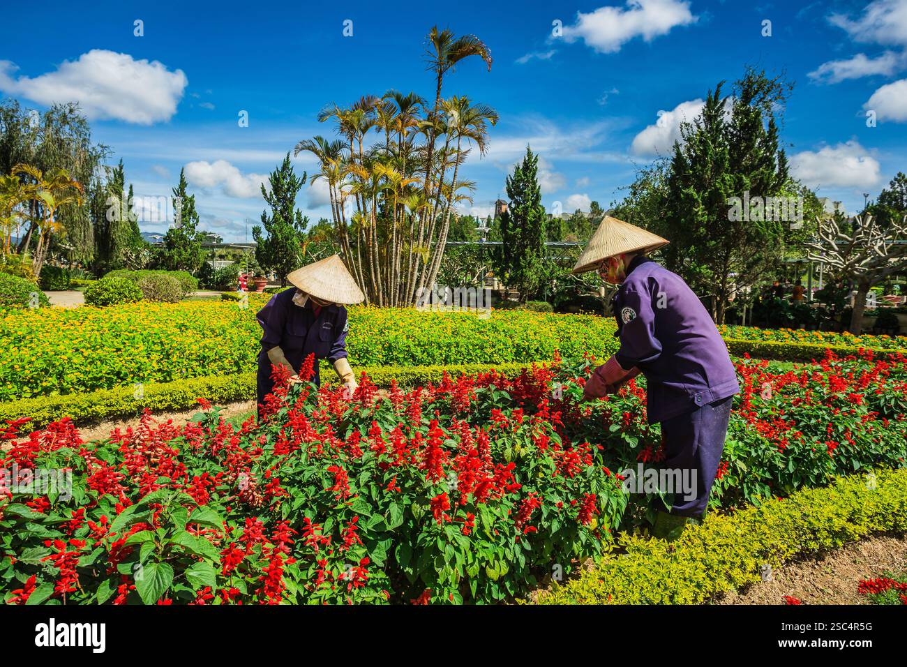 DA LAT CITY / VIETNAM - NOEMBER 26 2014 : Da Lat flower garden main gate located at Ho Xuan ...