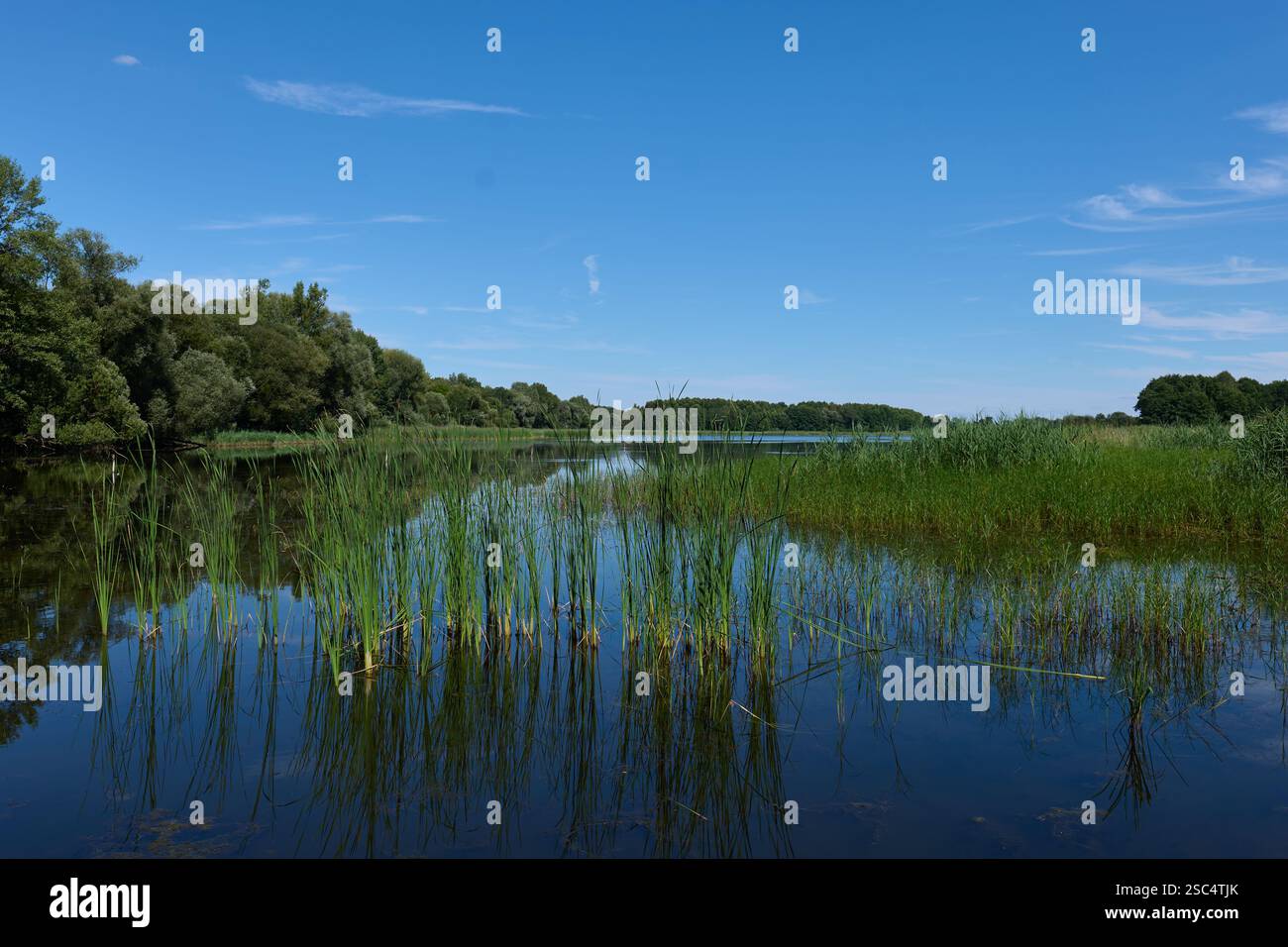 Ruda Milicka, Poland: View over the large Jaskolczy fish pond Stock ...