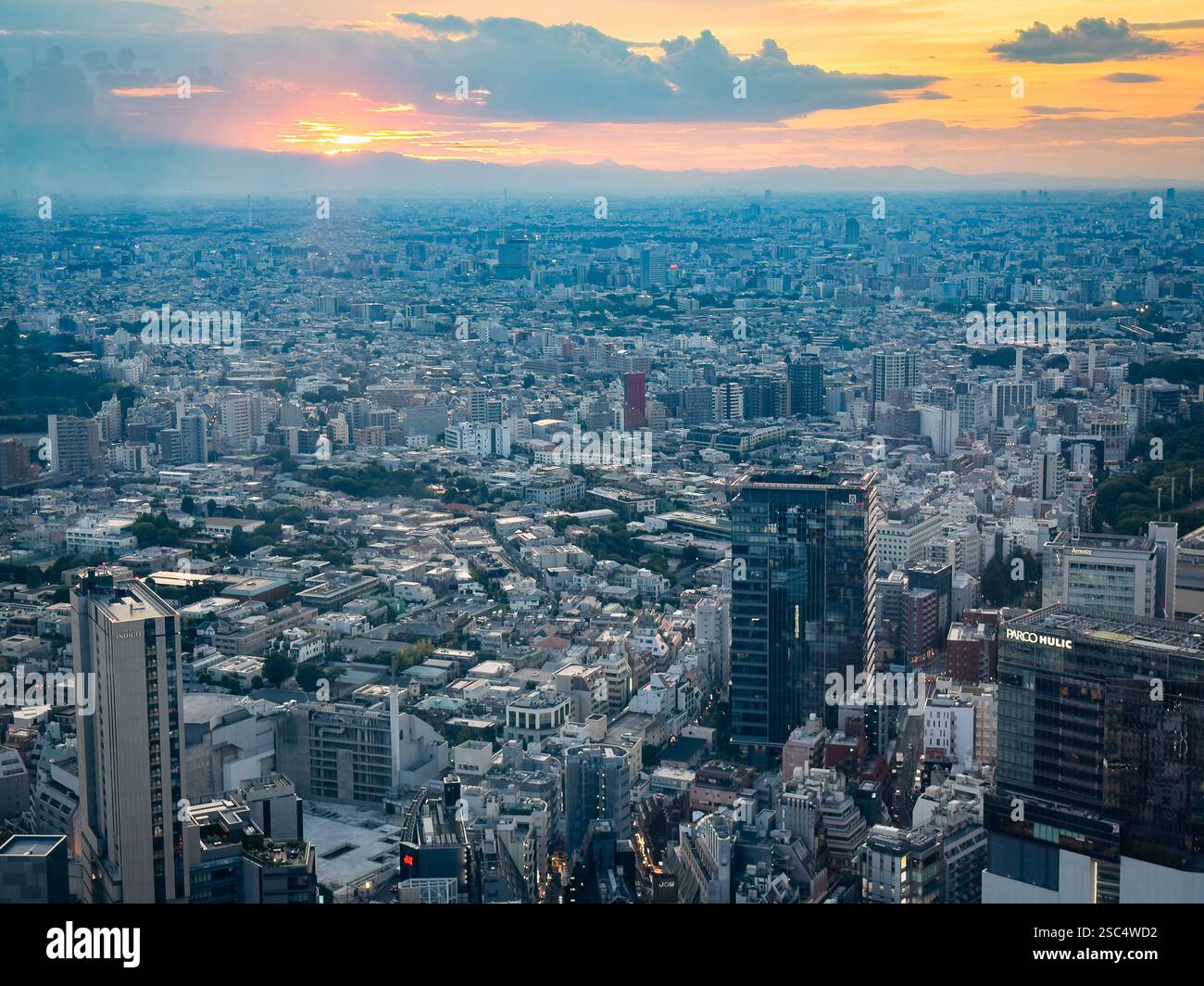 Views of Tokyo from Shibuya Sky rooftop at sunset, in Shibuya, Tokyo ...
