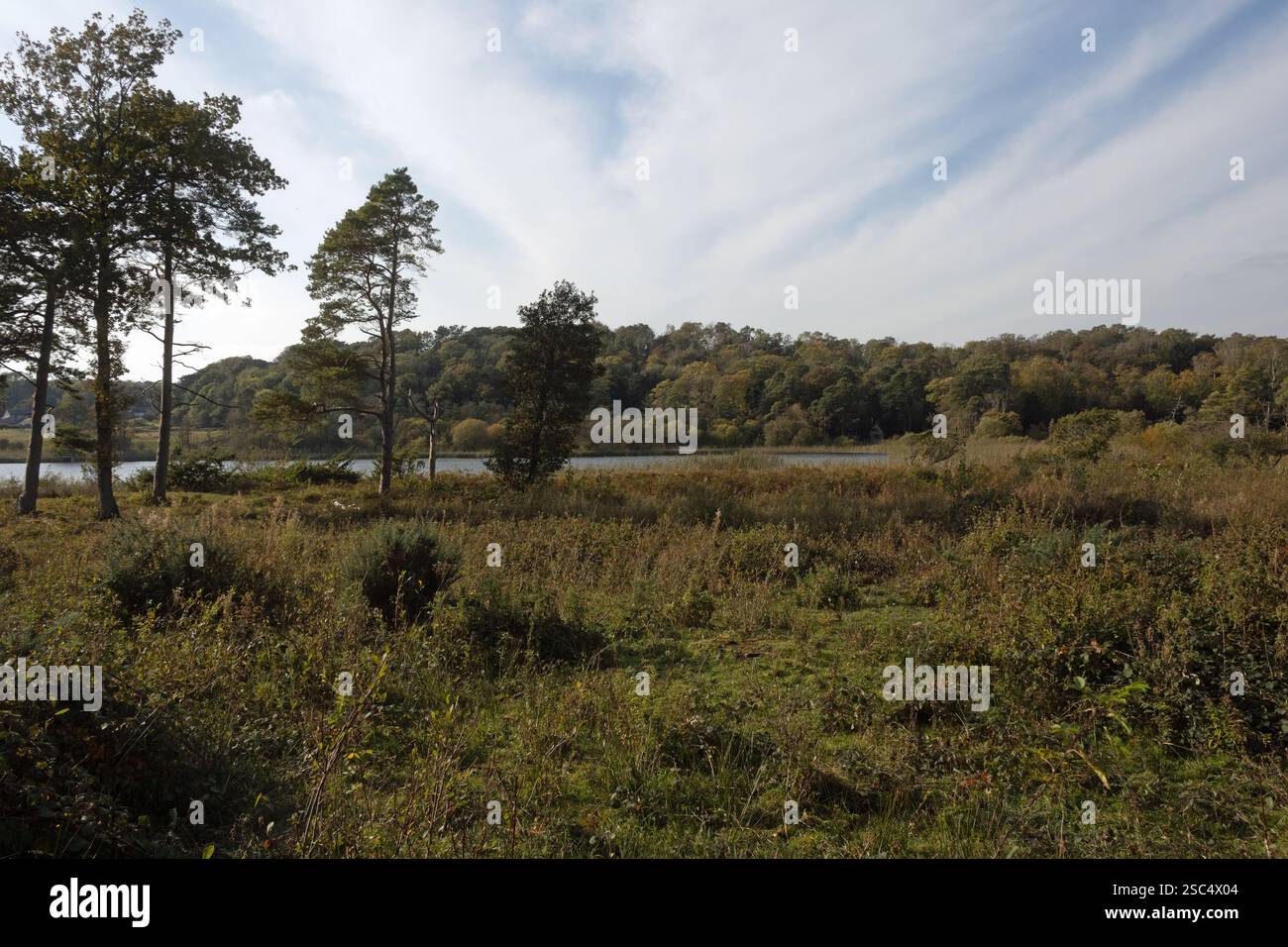 Gait Barrows National Nature Reserve near Hawes Water Arnside ...