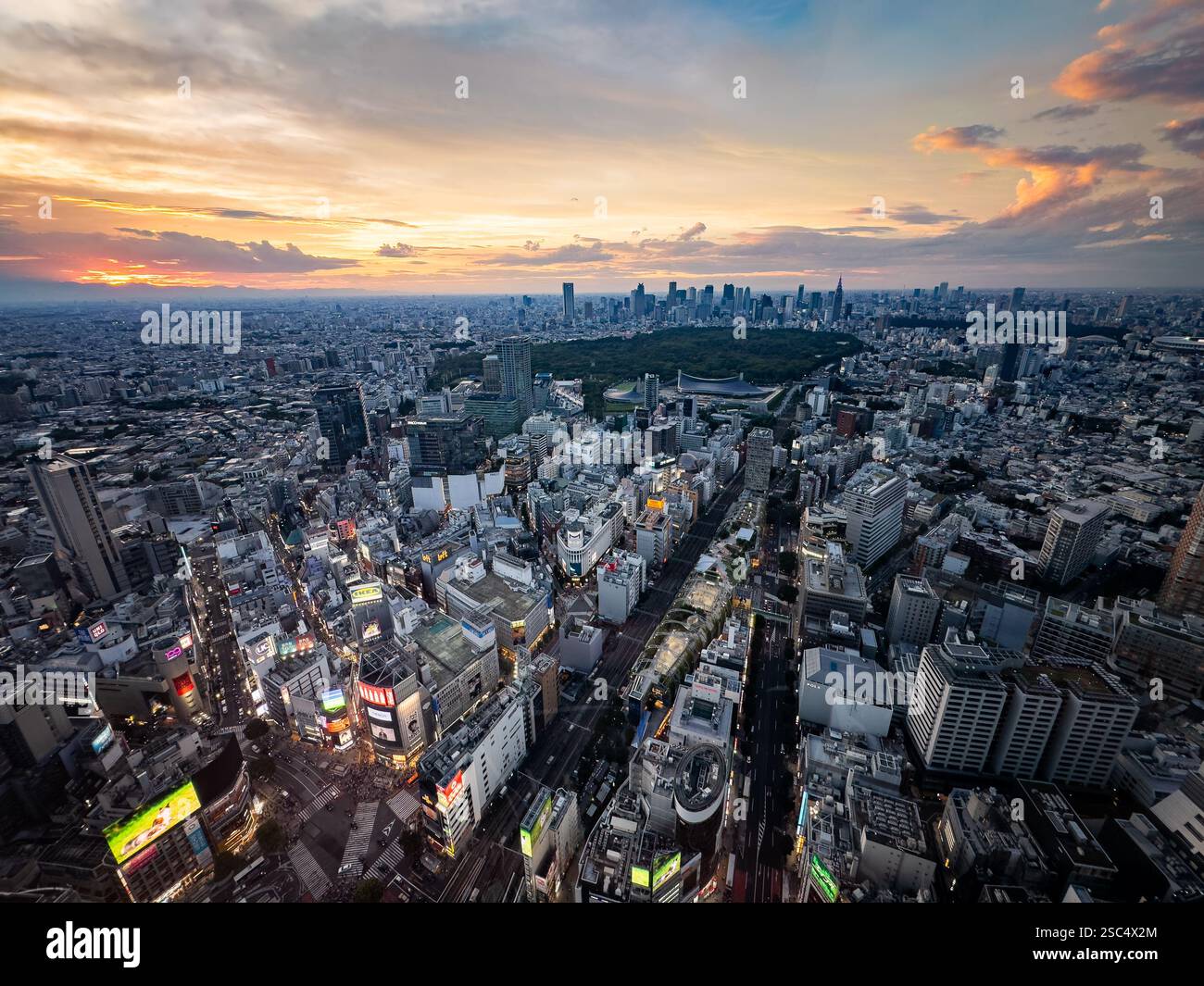 Views of Tokyo from Shibuya Sky rooftop at sunset, in Shibuya, Tokyo ...