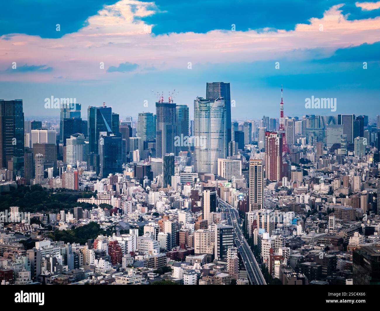 Views of Tokyo from Shibuya Sky rooftop at sunset, in Shibuya, Tokyo ...