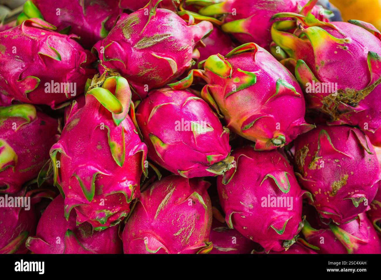 Dragon fruit, Pitaya (geow mangon). Fruits of Vietnam and Thailand ...