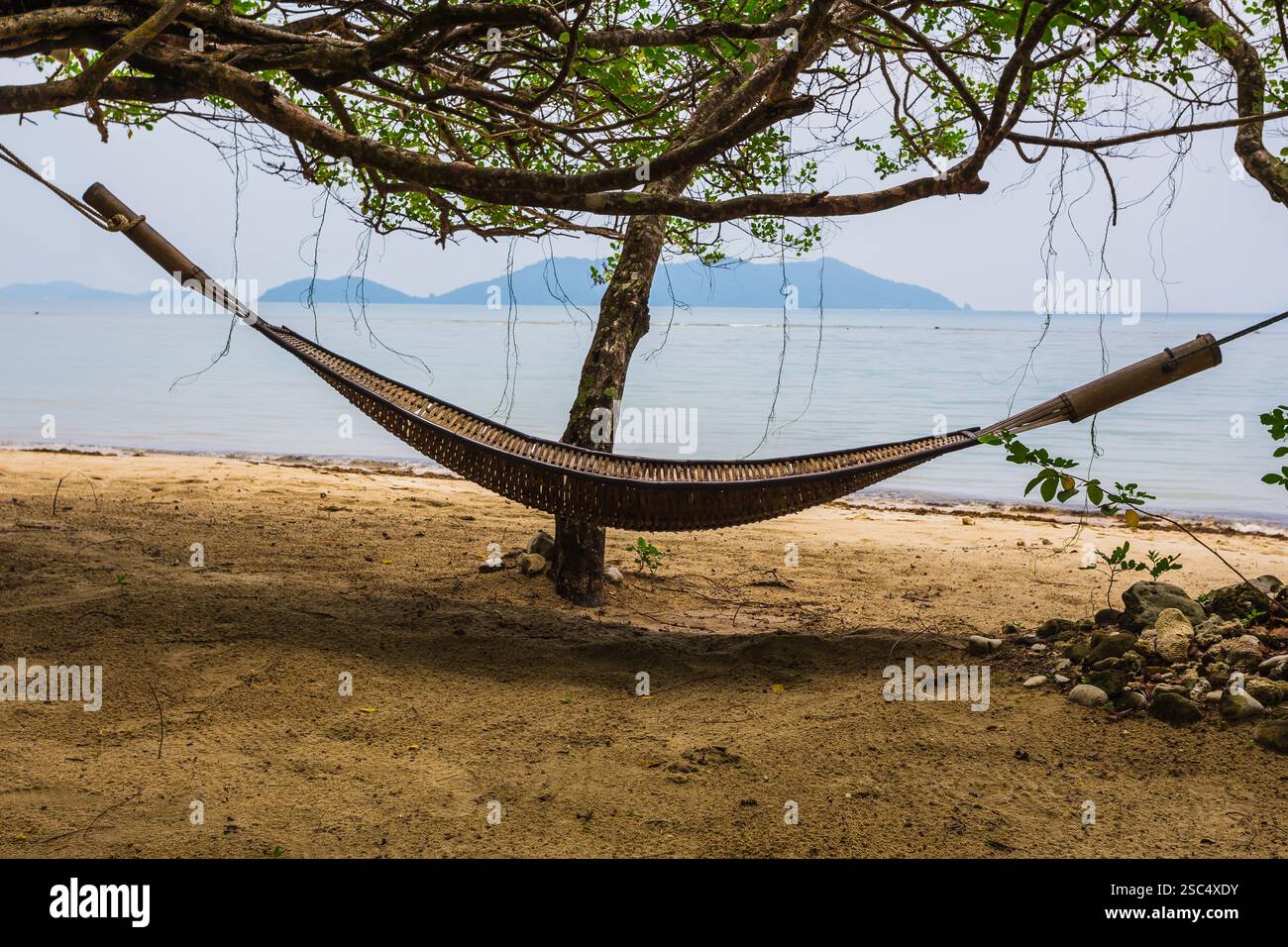 Romantic cozy hammock in the shadow of the tree on the tropical beach ...