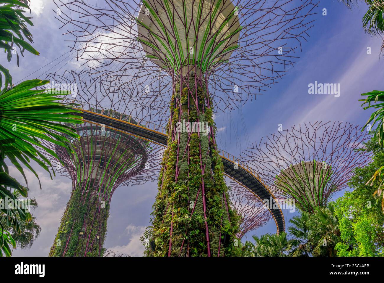 The ingenious vertical gardens of Supertree Grove and the Supertree ...
