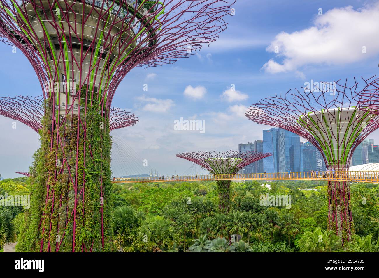 The ingenious vertical gardens of Supertree Grove and the Supertree ...