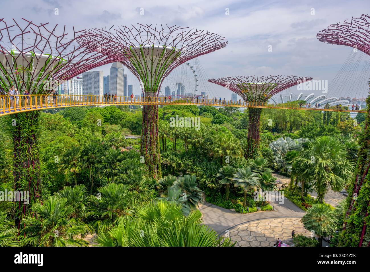 The ingenious vertical gardens of Supertree Grove in Singapore's ...