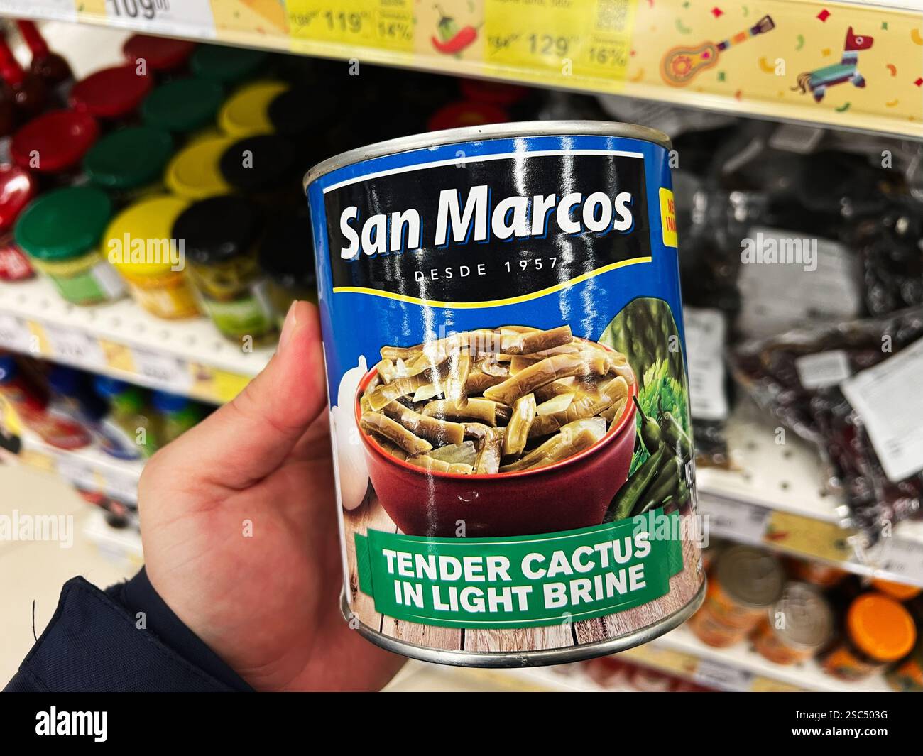 Kyiv, Ukraine - February 04, 2025: A hand holding a canned tender ...