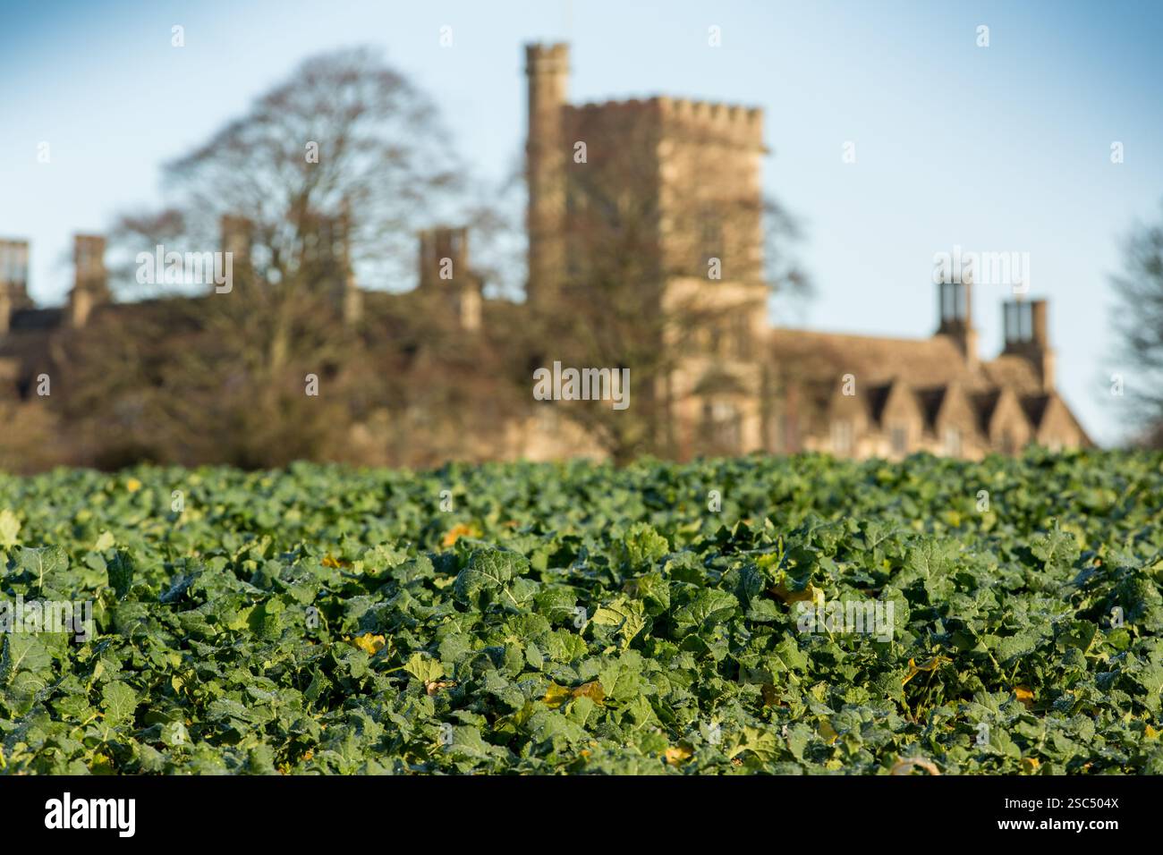 Royal Agricultural University, RAU in Cirencester, The Cotswolds, UK ...
