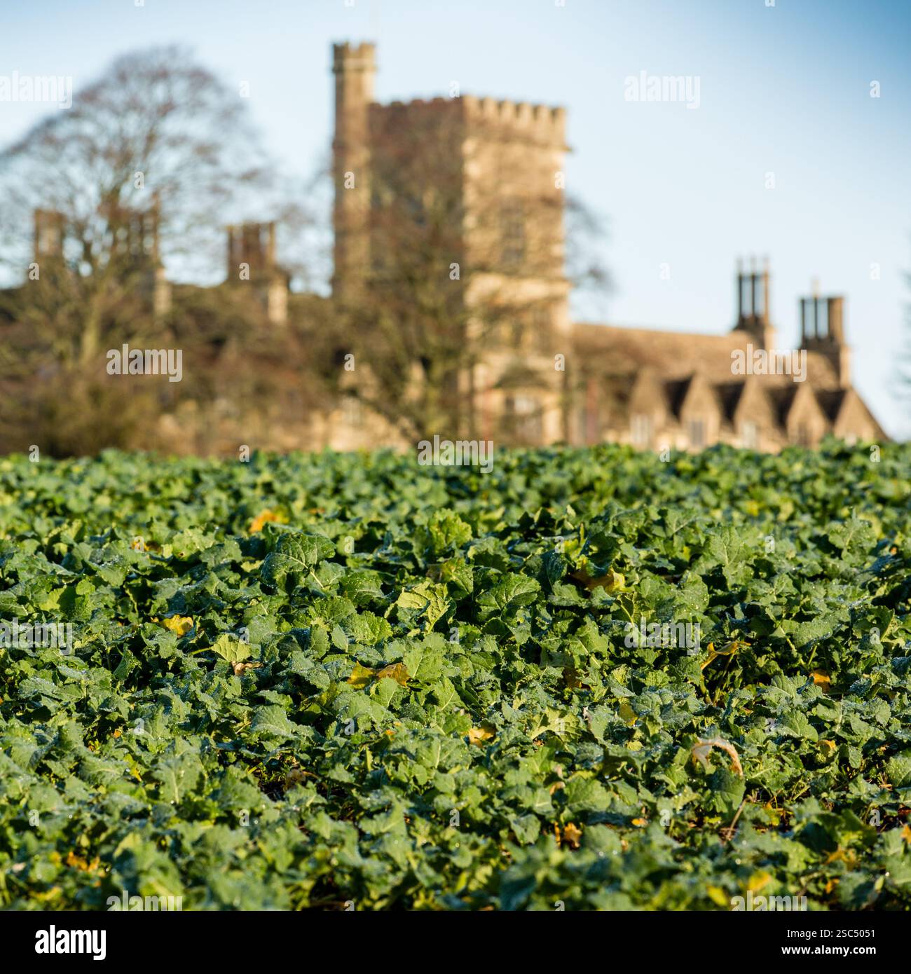 Royal Agricultural University, RAU in Cirencester, The Cotswolds, UK ...