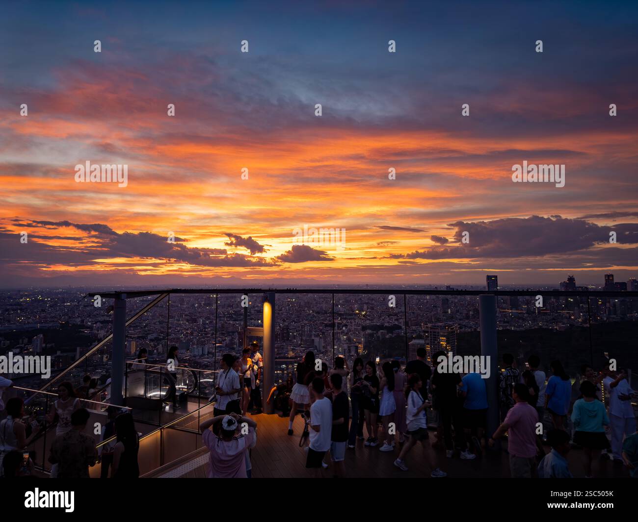 Views of Tokyo from Shibuya Sky rooftop at sunset, in Shibuya, Tokyo ...