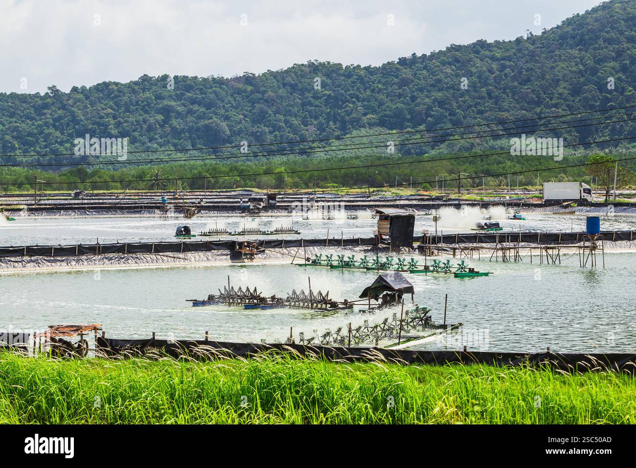 The farm of lobsters. Thailand. Koh Chang Stock Photo - Alamy