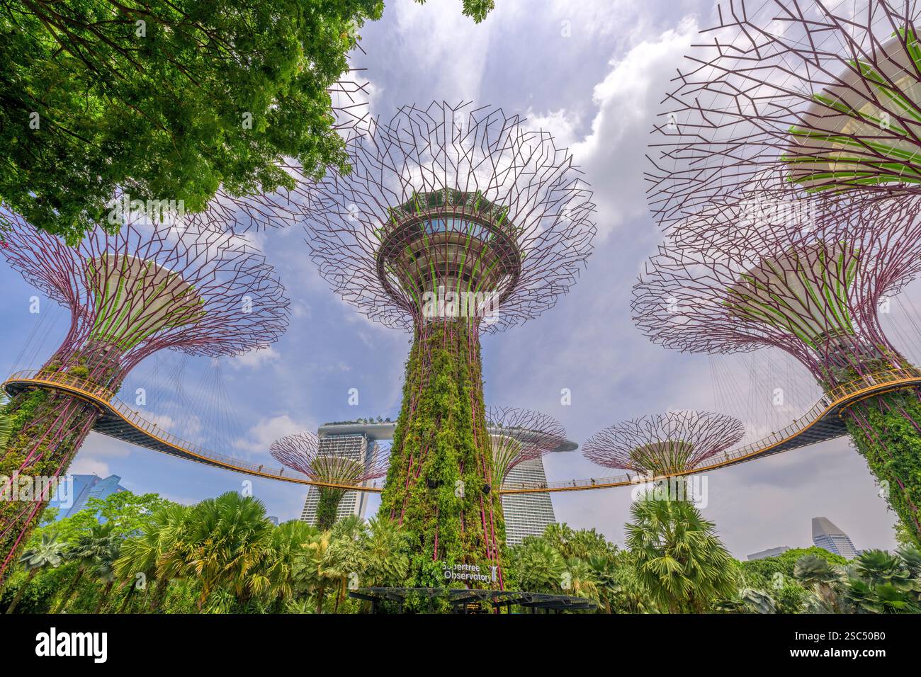 The ingenious vertical gardens of Supertree Grove and the Supertree ...