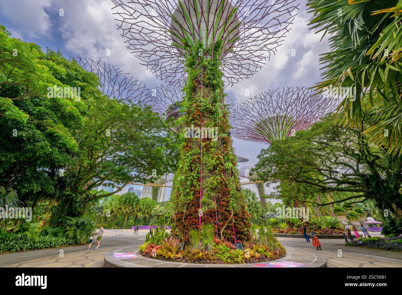 The ingenious vertical gardens of Supertree Grove and the Supertree ...