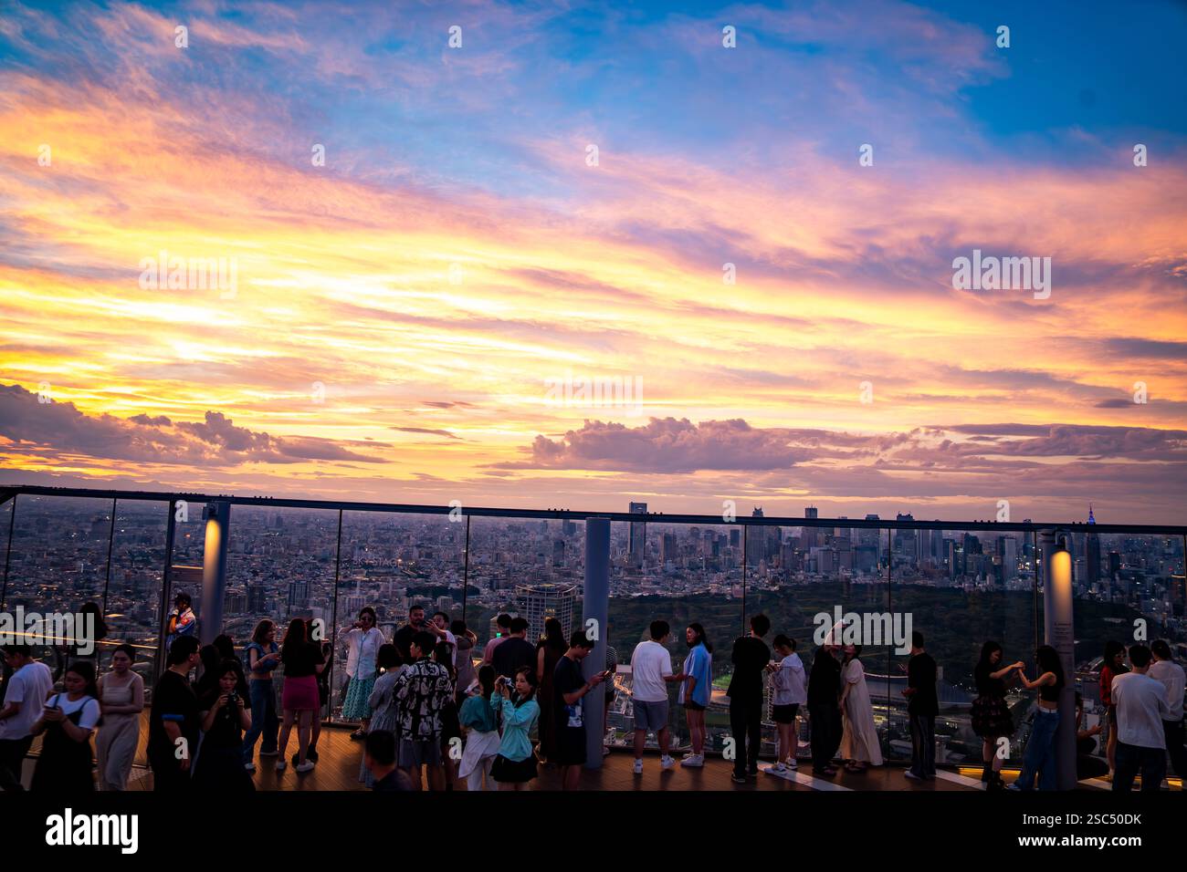 Views of Tokyo from Shibuya Sky rooftop at sunset, in Shibuya, Tokyo ...