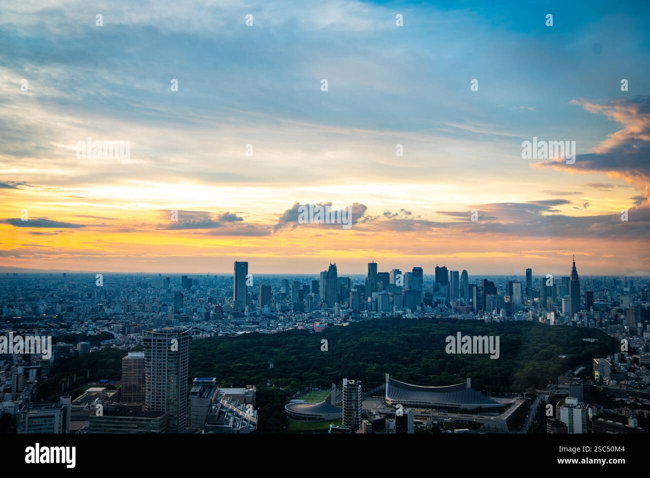 Views of Tokyo from Shibuya Sky rooftop at sunset, in Shibuya, Tokyo ...