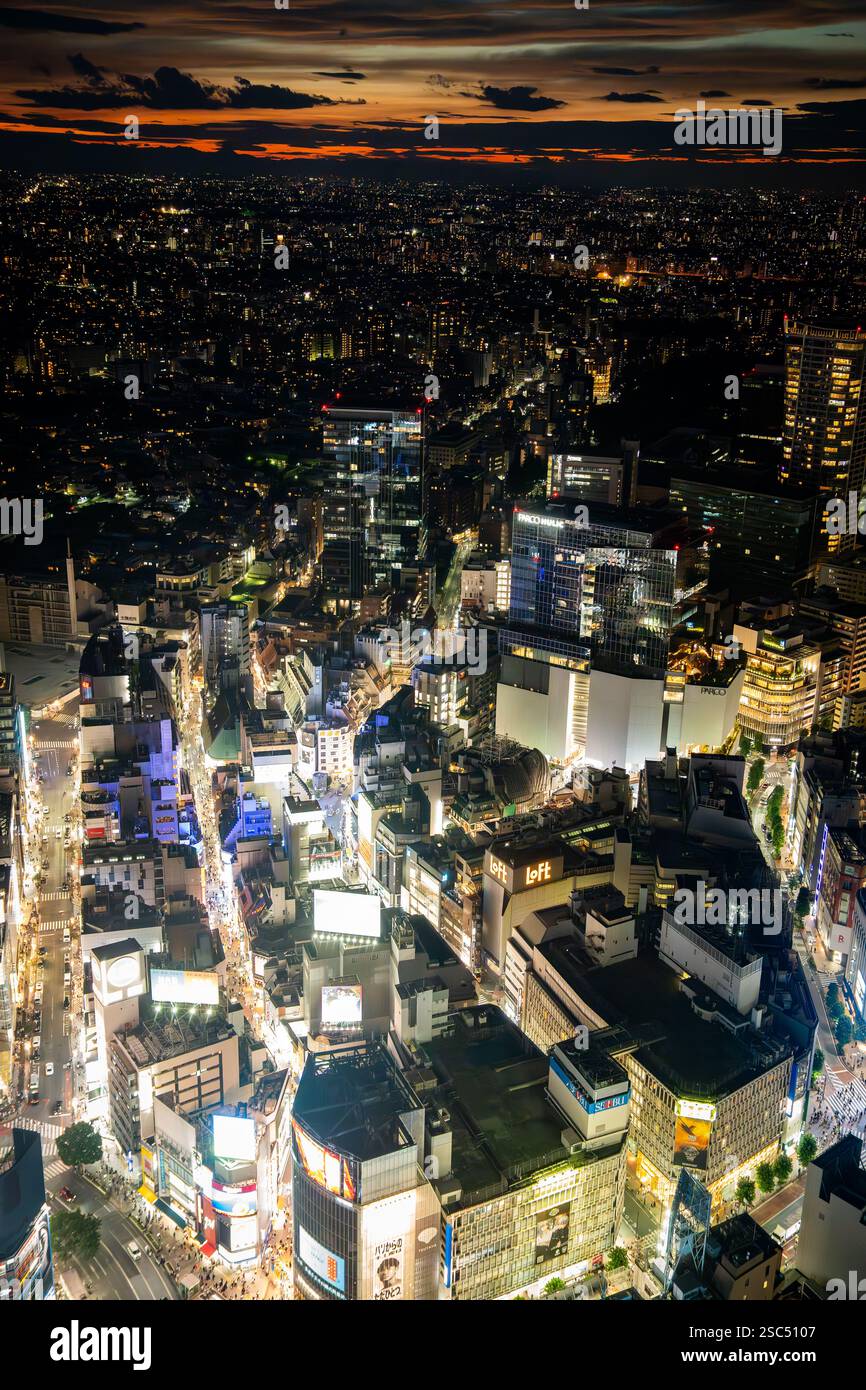 Views of Tokyo from Shibuya Sky rooftop at sunset, in Shibuya, Tokyo ...